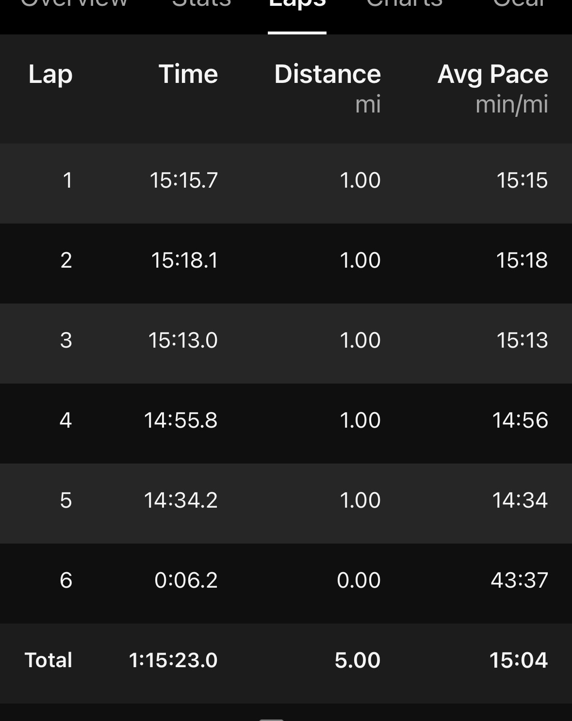 training run | The Accidentally Running Mama